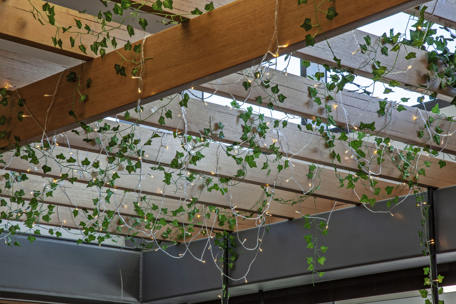 About Omni Building Group | Newcastle & Dubbo Builders