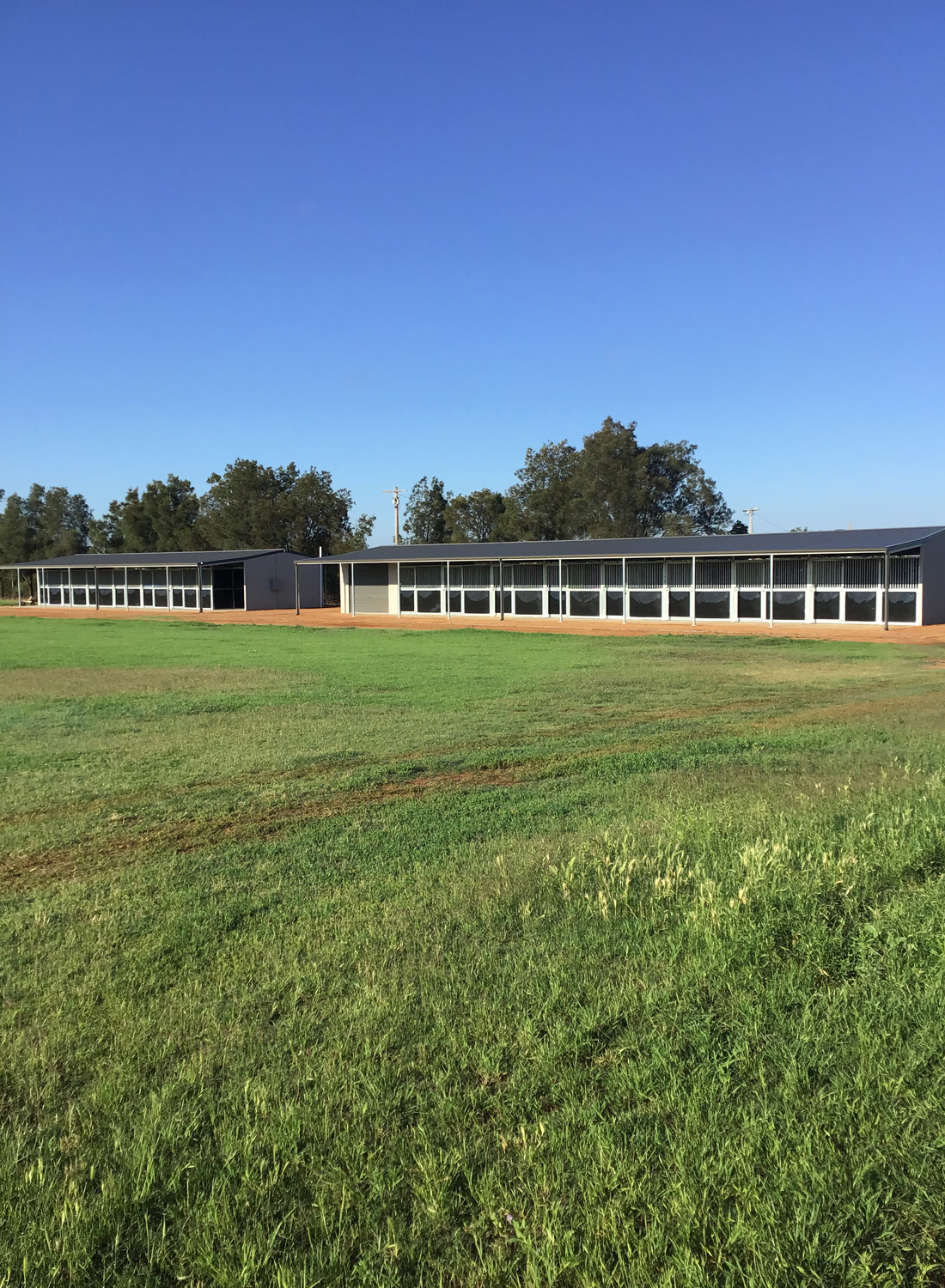 Dubbo Showground Stables | Commercial Projects OMNI Building